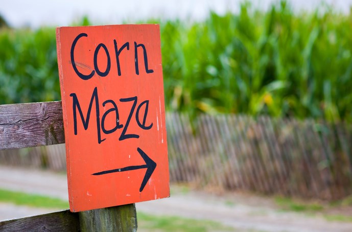 North America’s 9 Best Corn Mazes to Visit this Fall | KOA Camping Blog