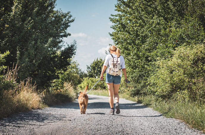 6 Awesome Places to Explore with your Pet in the Great Outdoors | KOA ...