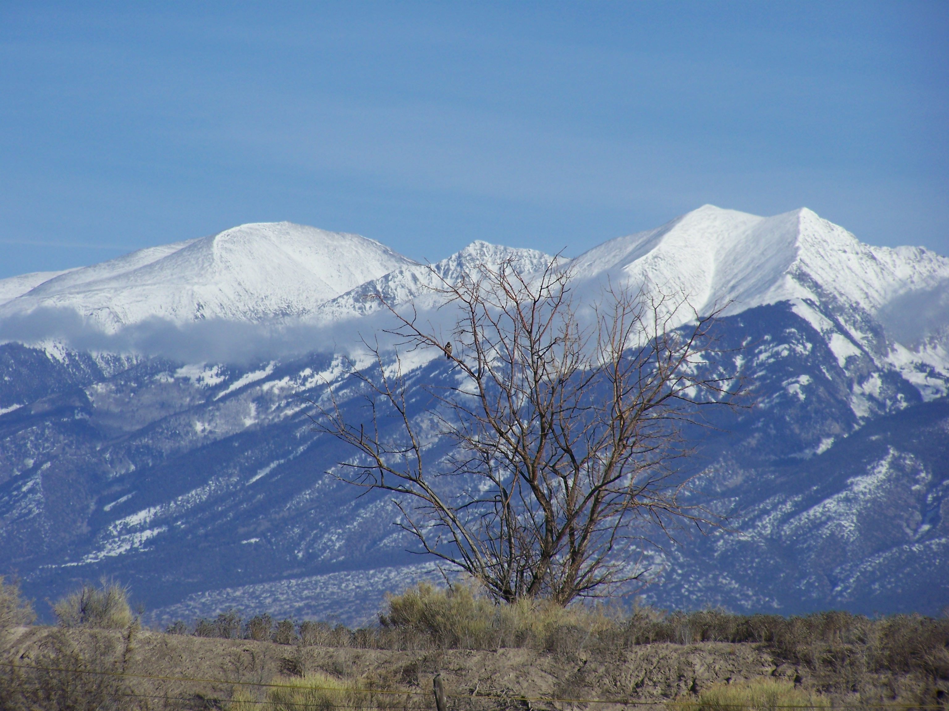 Alamosa, Colorado RV Camping Sites | Alamosa KOA