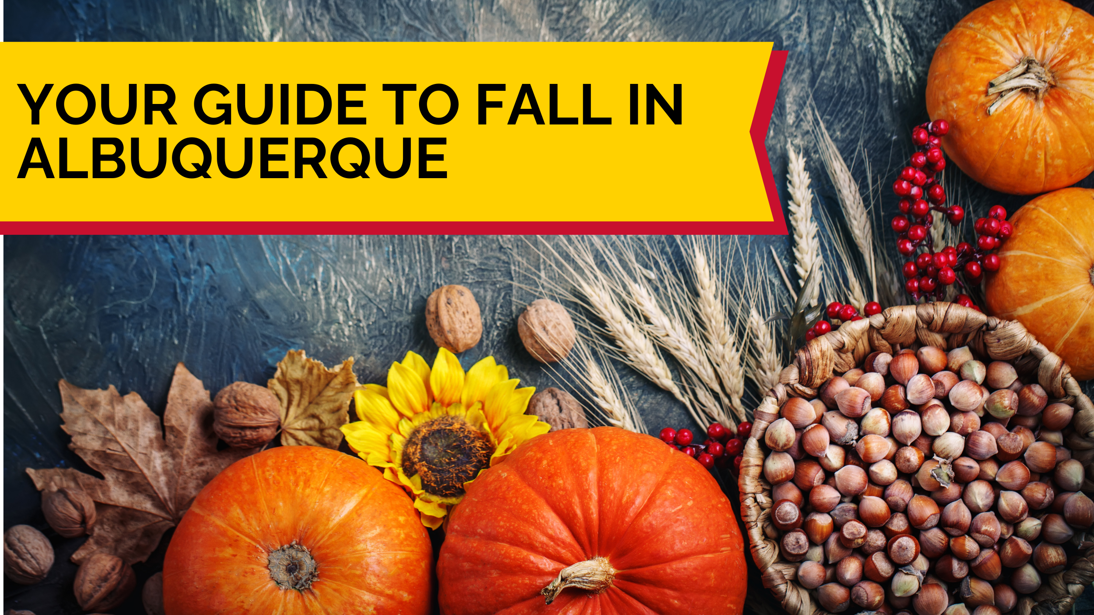 Your Guide to Fall Camping and Events in Albuquerque, NM