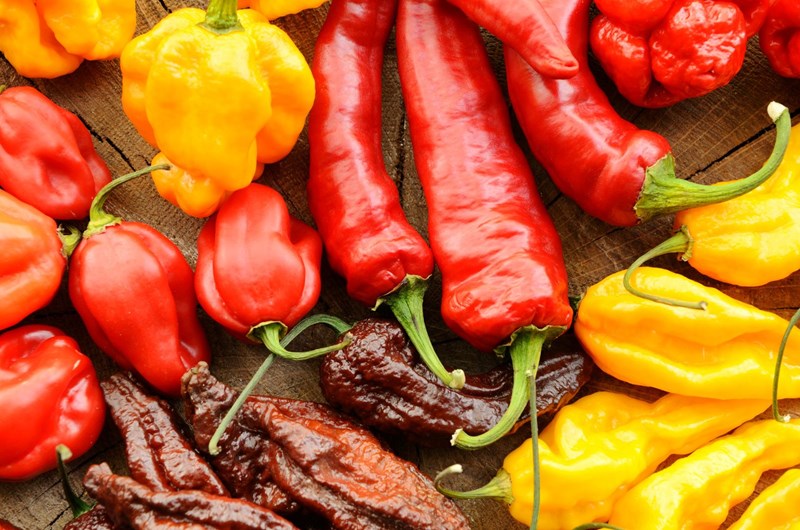 NATIONAL FIERY FOODS & BBQ SHOW: Event at the Albuquerque KOA Journey ...