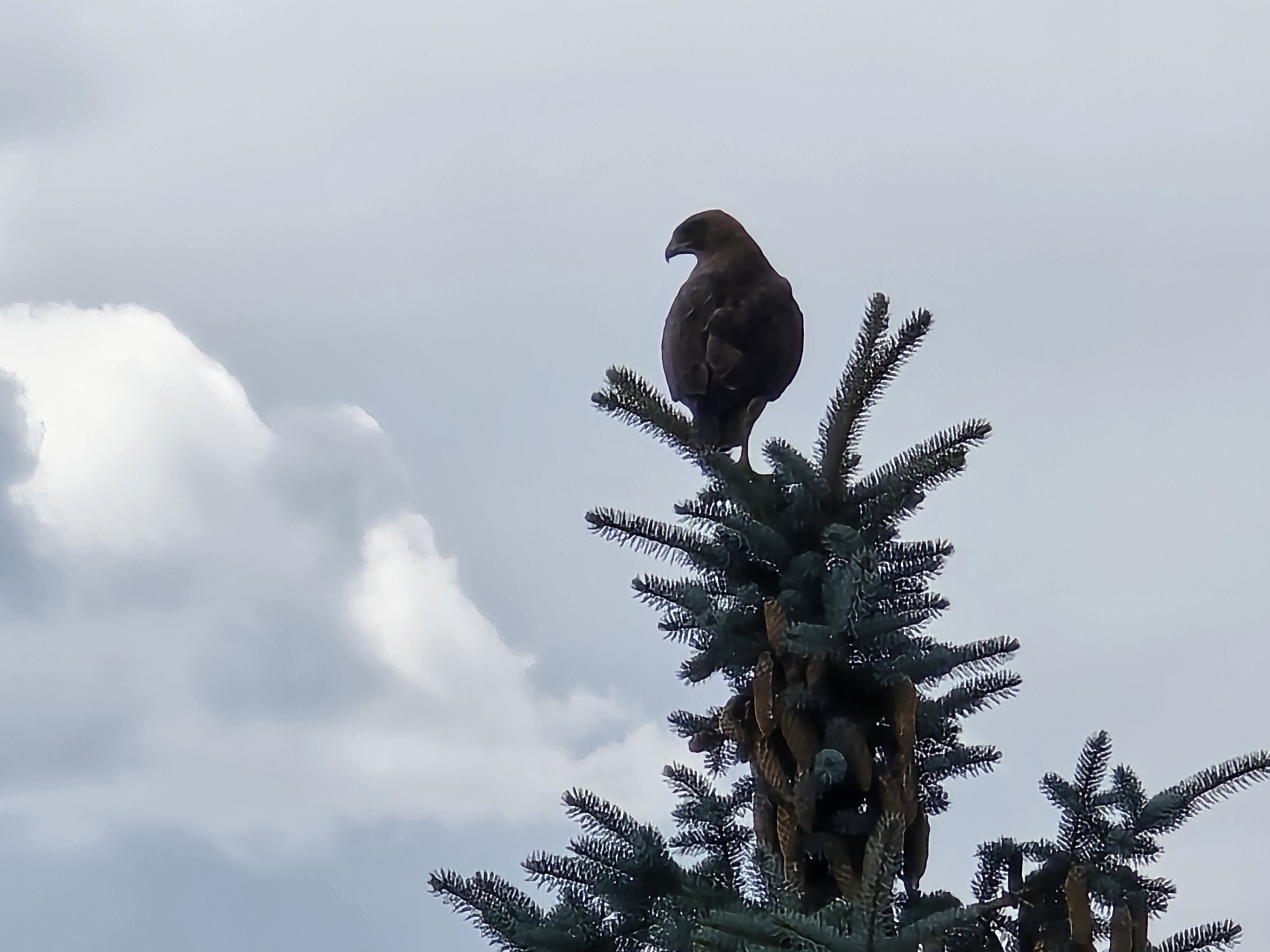 Things to Do in SW Wyoming If The National Parks Shut Down