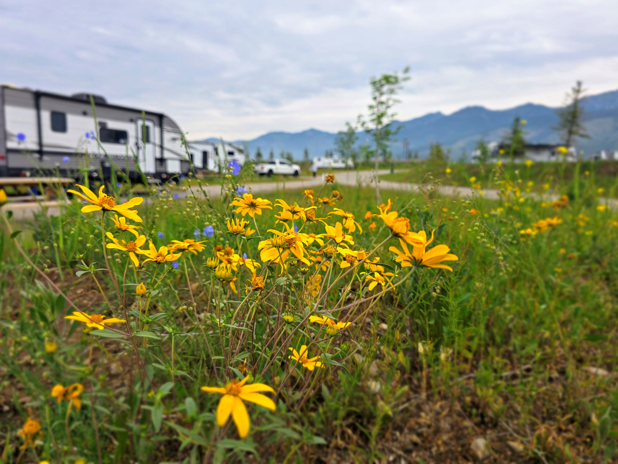 Etna, Wyoming Campground | Alpine / Bridger-Teton National Forest KOA ...