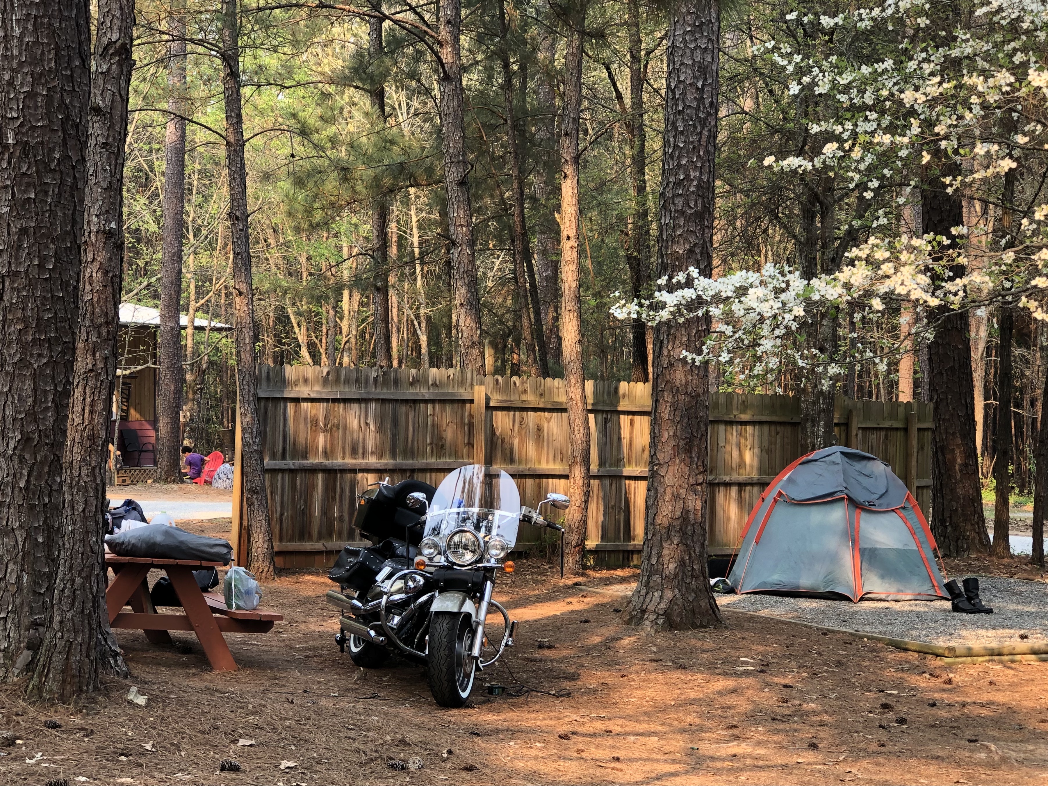 Anderson, South Carolina Tent Camping Sites | Anderson / Lake Hartwell ...