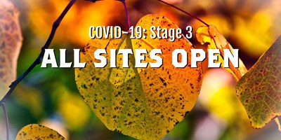 Candler, North Carolina Campground | Asheville West KOA