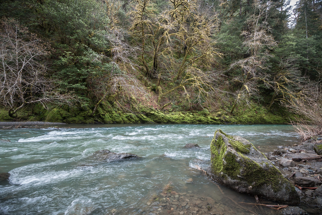 Langlois, Oregon Campground | Bandon / Port Orford KOA Journey