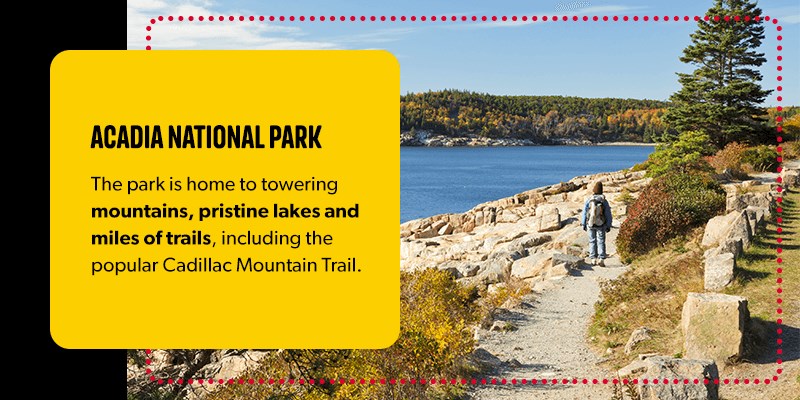 Top Things to Do in Bar Harbor