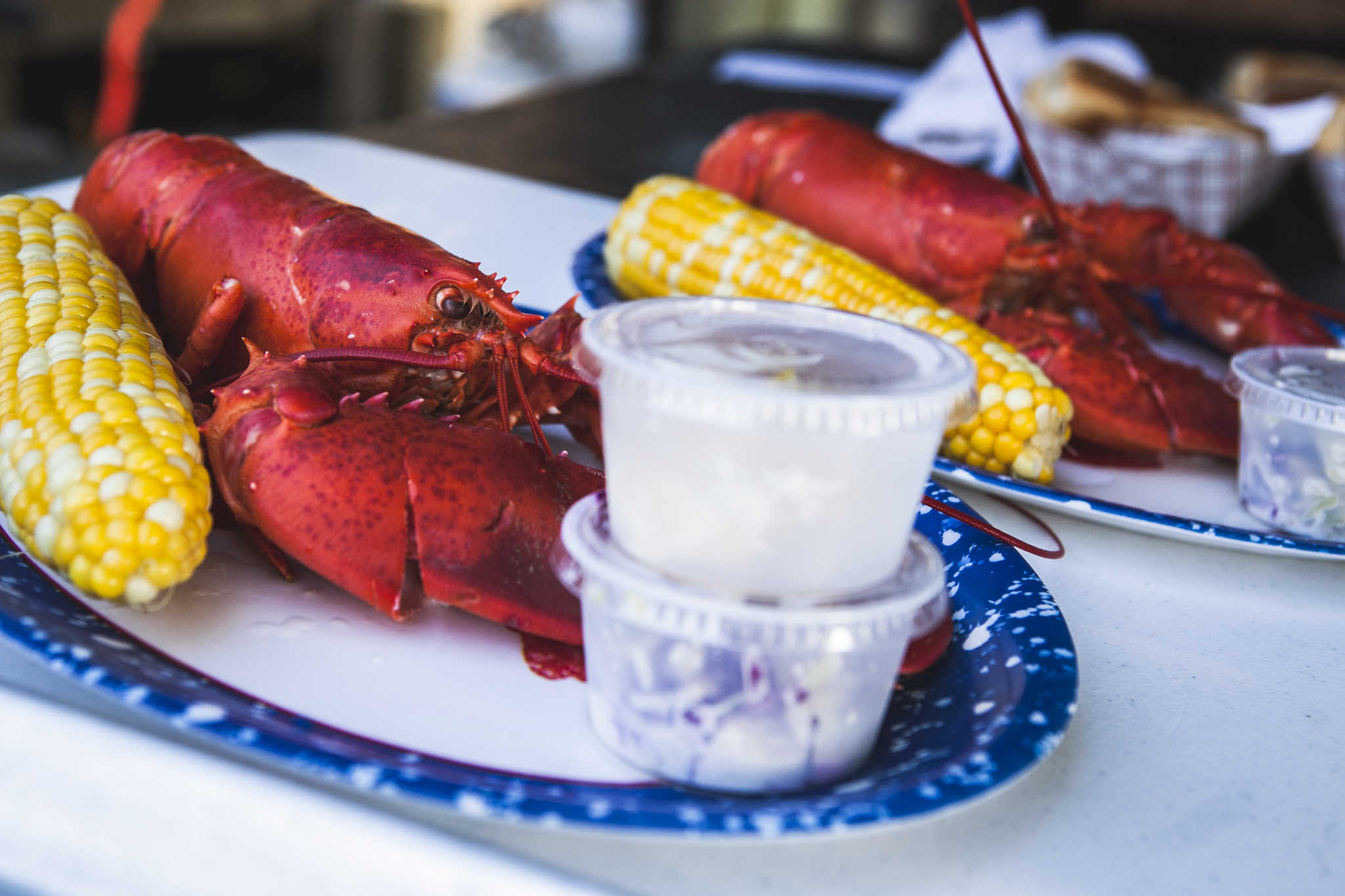 Campground Food Options | Bar Harbor/Oceanside KOA Holiday