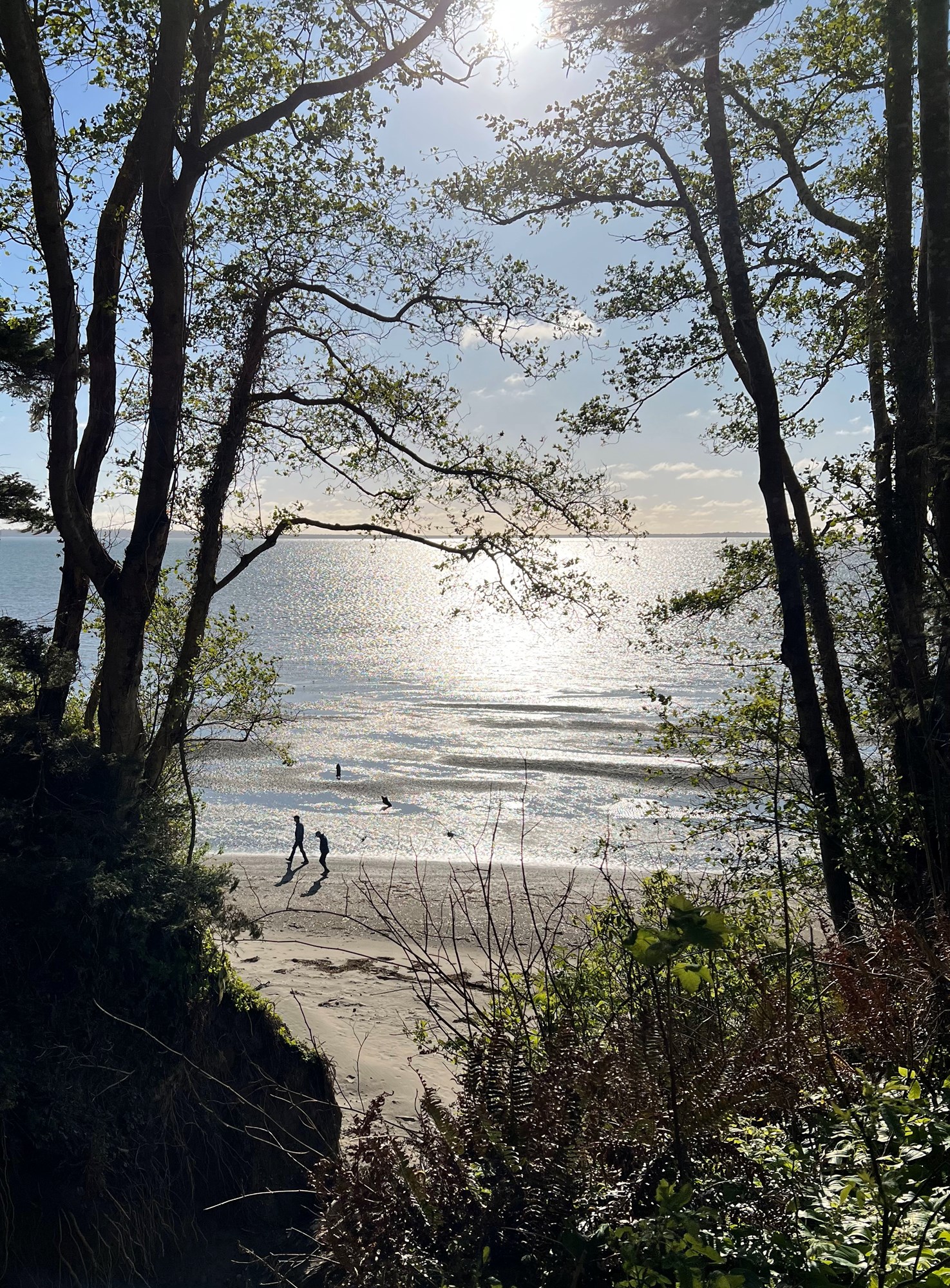 South Bend, Washington Campground | Bay Center / Willapa Bay KOA Holiday