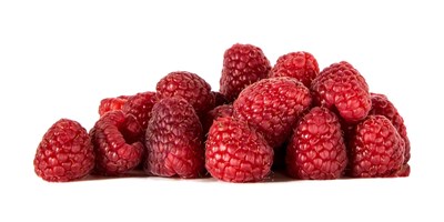 Garden City, Utah Campground | Bear Lake / Trail Side KOA Journey