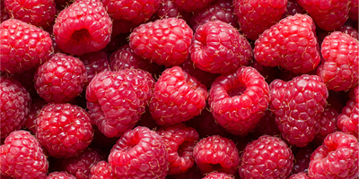 Campground On Bear Lake | Bear Lake/Marina Side KOA Holiday