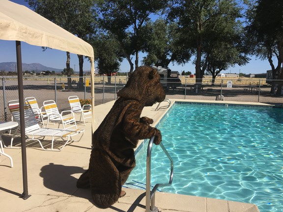 Beaver, Utah Camping Recreation | Beaver KOA