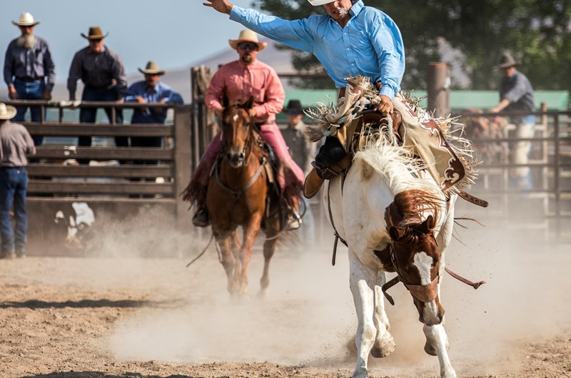 Beaver Stampede Rodeo: Event at the Beaver KOA Journey Campground in Utah