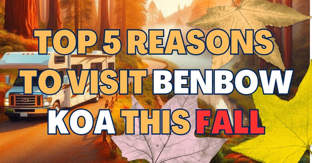 Top 5 Reasons to Visit Benbow KOA This Fall