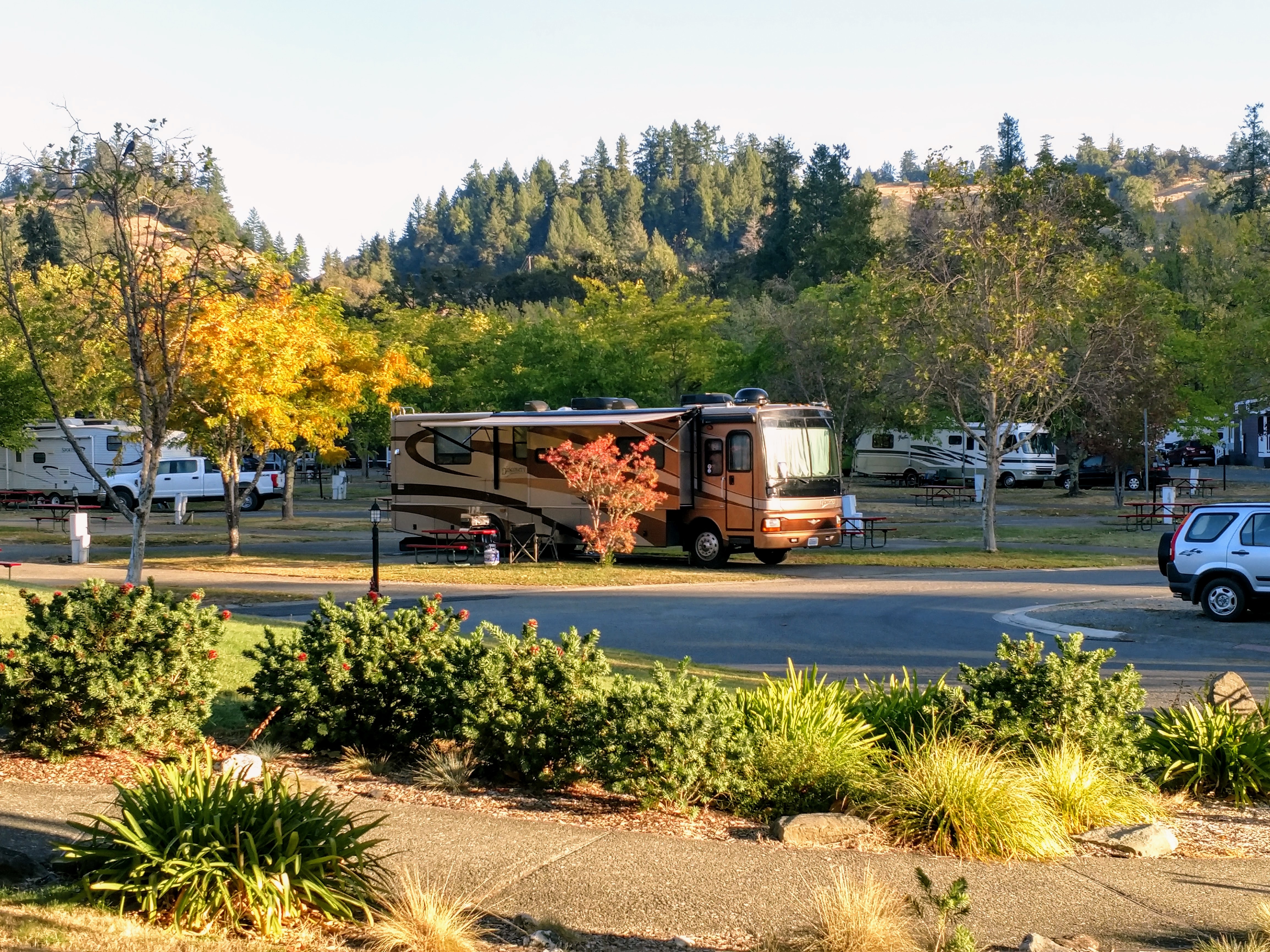 Garberville, California Camping Photos | Benbow KOA Holiday