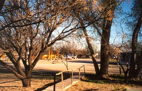 Benson, Arizona Camping Photo Albums | Benson KOA