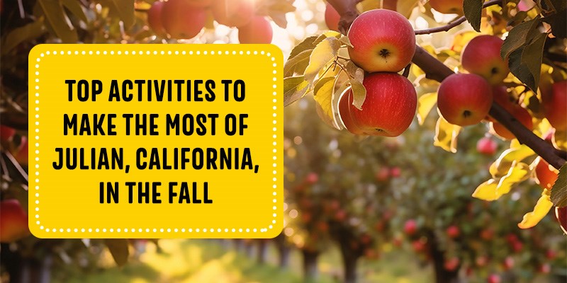 Top Activities to Make the Most of Fall in Julian, CA | KOA Blog