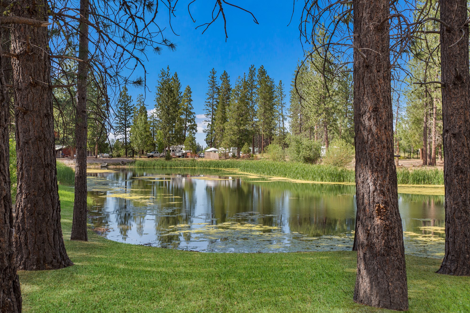Hat Creek, California Campground | Burney Falls / Hat Creek KOA Holiday