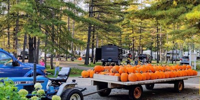 Cardinal, Ontario Campground | Cardinal / Ottawa South KOA Holiday