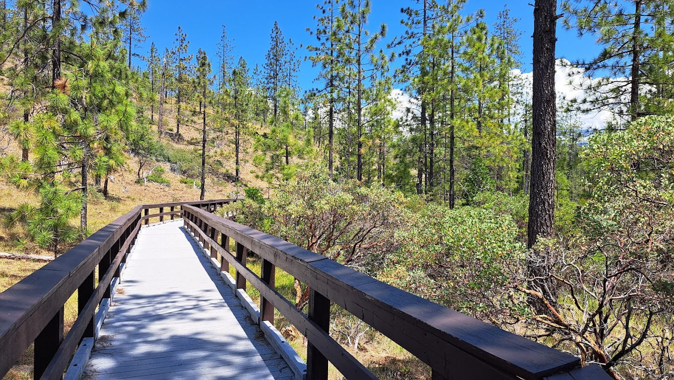 A 3-Day Hiking Itinerary Around Cave Junction, Oregon