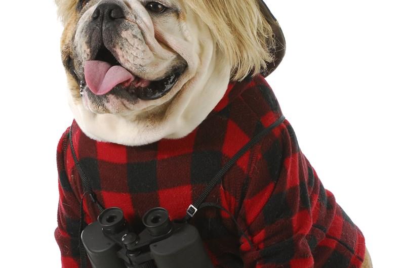 Redneck weekend: Event at the Cherokee / Great Smokies KOA Holiday ...