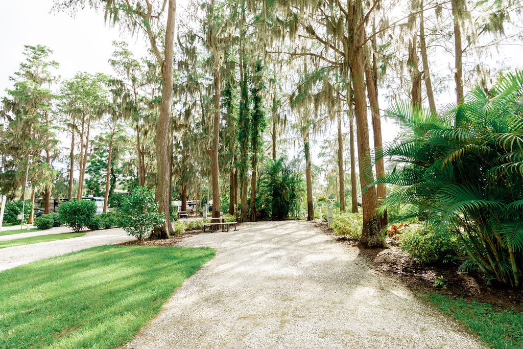 Palm Harbor, Florida RV Camping Sites | Clearwater / Lake Tarpon KOA ...