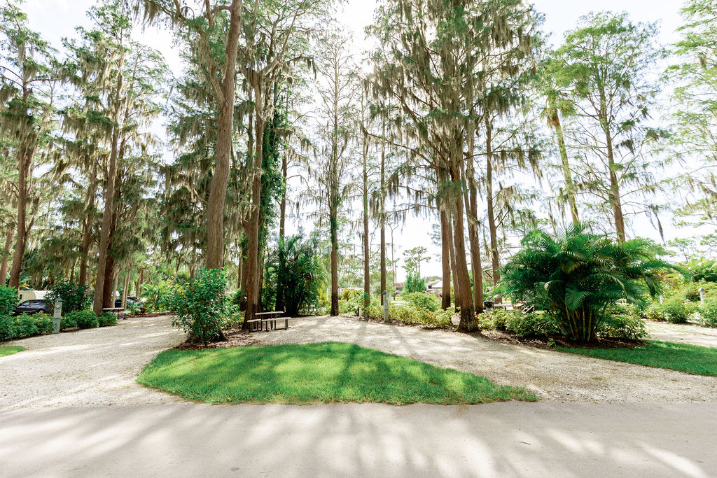 Palm Harbor, Florida RV Camping Sites | Clearwater / Lake Tarpon KOA ...