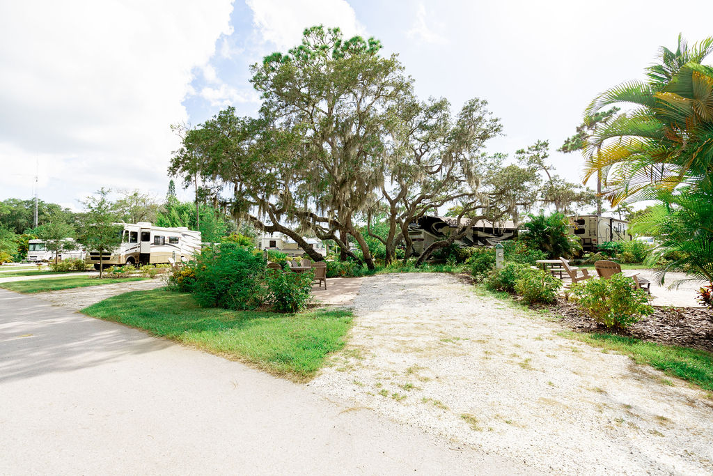 Palm Harbor, Florida RV Camping Sites | Clearwater / Lake Tarpon KOA ...