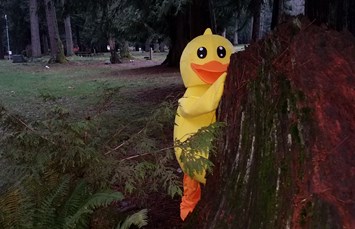 Washington Camping Locations | KOA Campgrounds