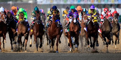 Corbin, Kentucky Campground | Corbin / Laurel Lake KOA Journey