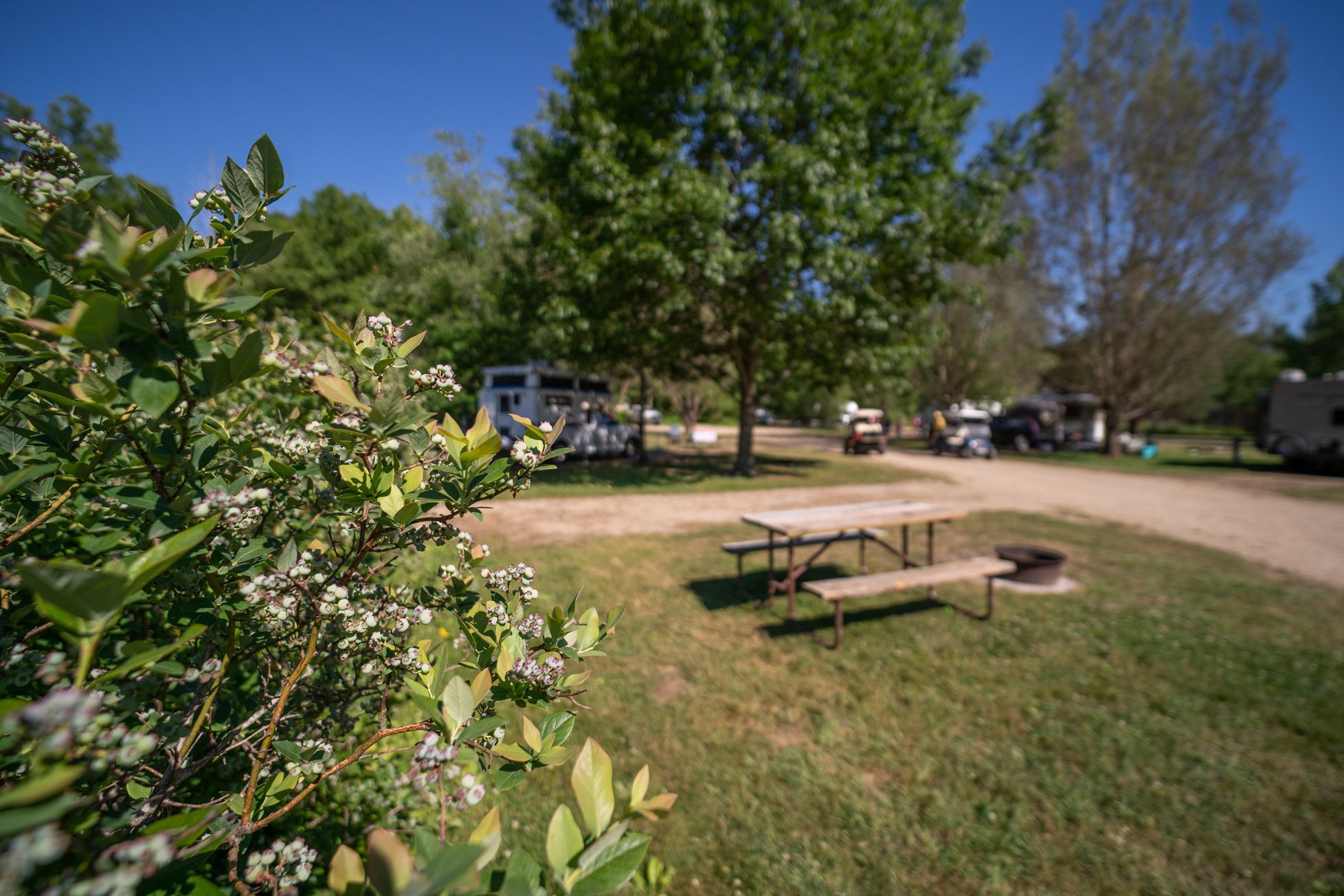 RV Camping in Covert, Michigan | KOA Holiday