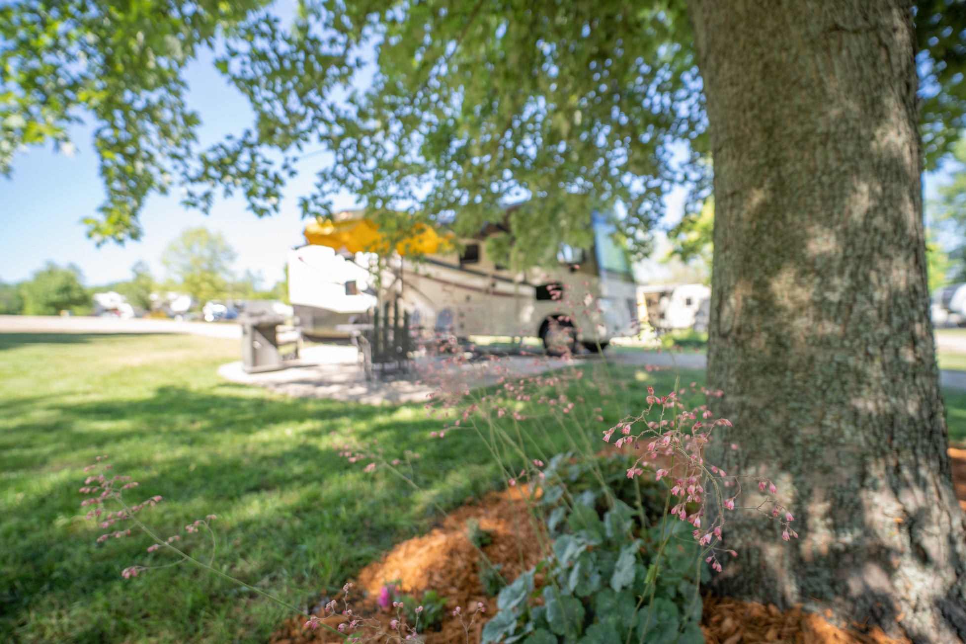 Covert, Michigan RV Camping Sites | Covert / South Haven KOA Holiday