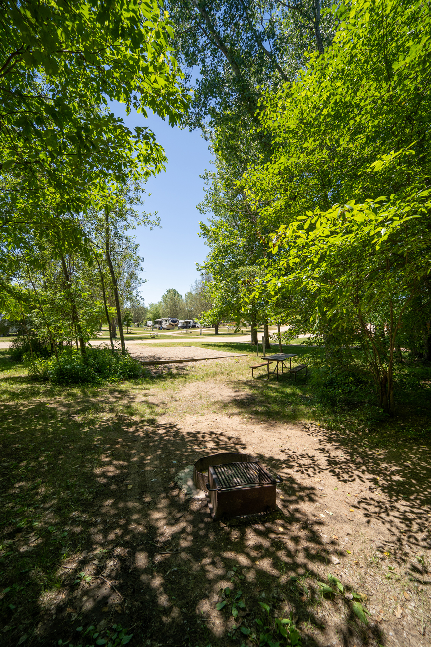 Covert, Michigan Tent Camping Sites | Covert / South Haven KOA Holiday