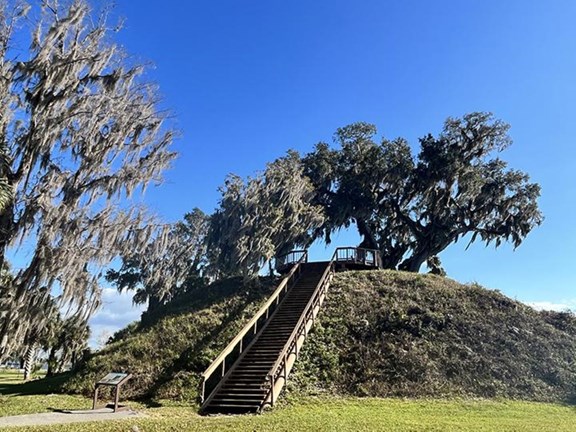 Crystal River, Florida Area Attractions and Activities | Crystal River ...