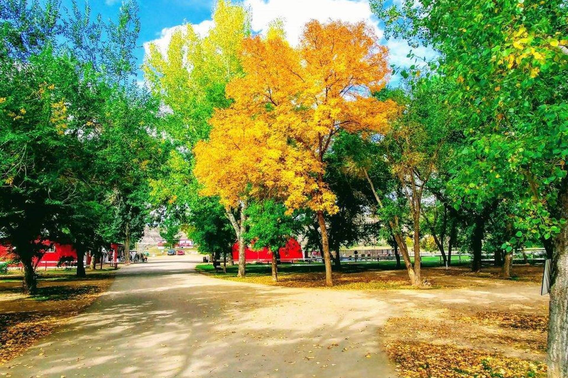 Drumheller / Dinosaur Trail KOA Holiday General Info | KOA Campgrounds