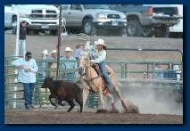 Dubois Friday Night Rodeo: Event at the Dubois / Wind River KOA Holiday ...
