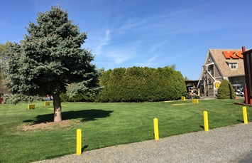 Washington Camping Locations | KOA Campgrounds