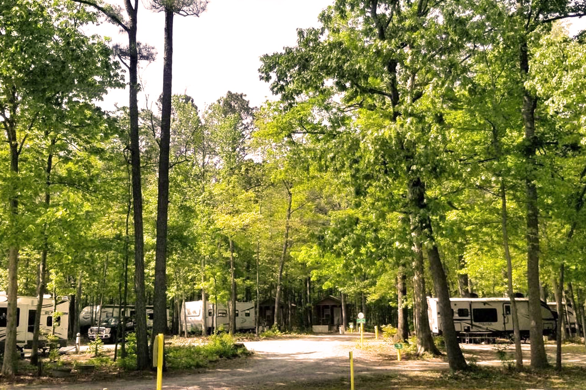 Emporia, Virginia Campground | Emporia / I-95 KOA