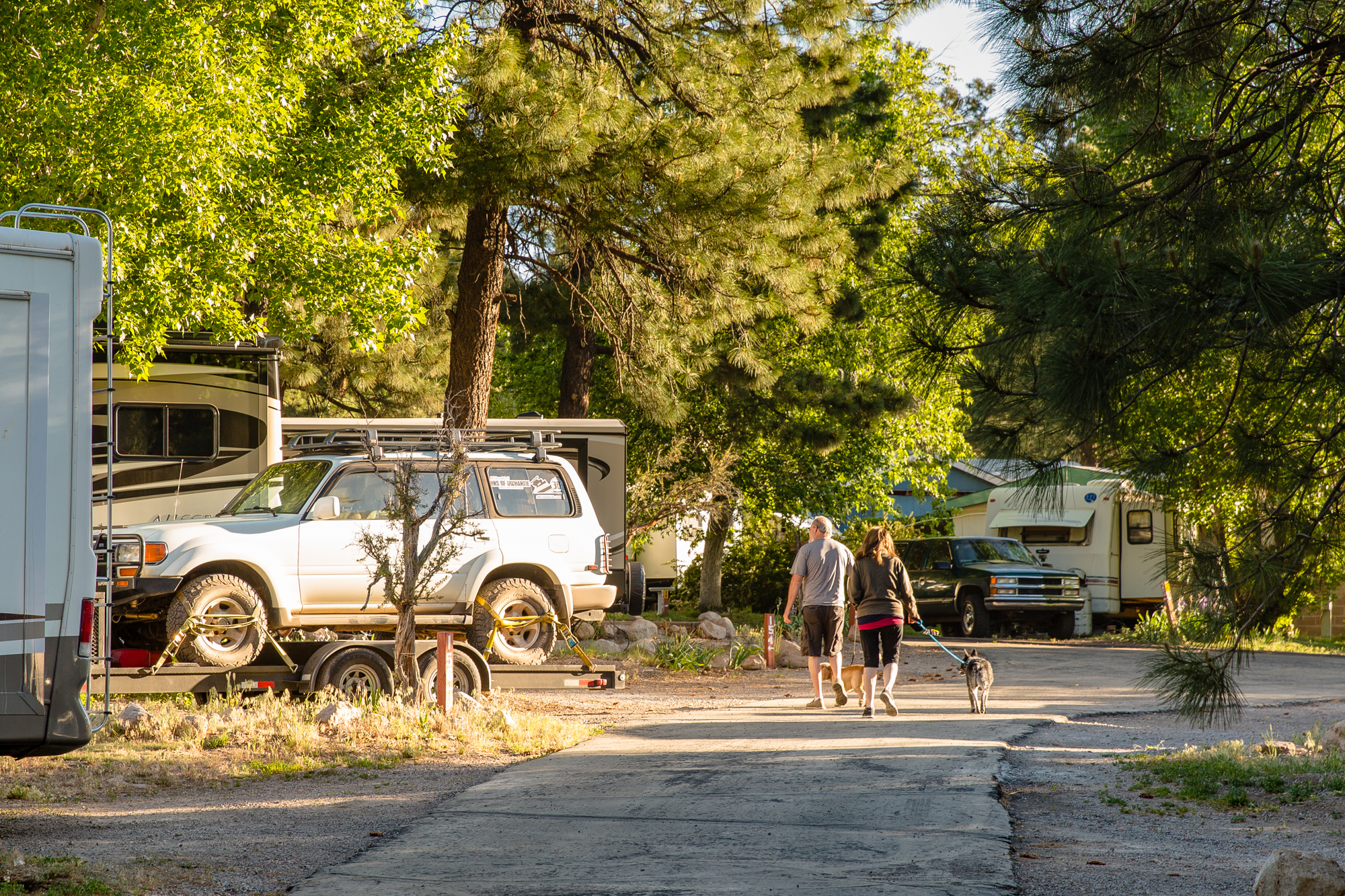 Flagstaff, Arizona Extended Stay Sites | Flagstaff KOA Holiday