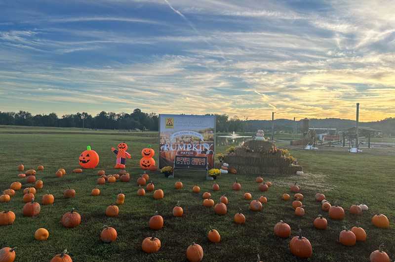 Welcome to our Pumpkin Patch: Event at the Franklin Furnace / Ohio ...
