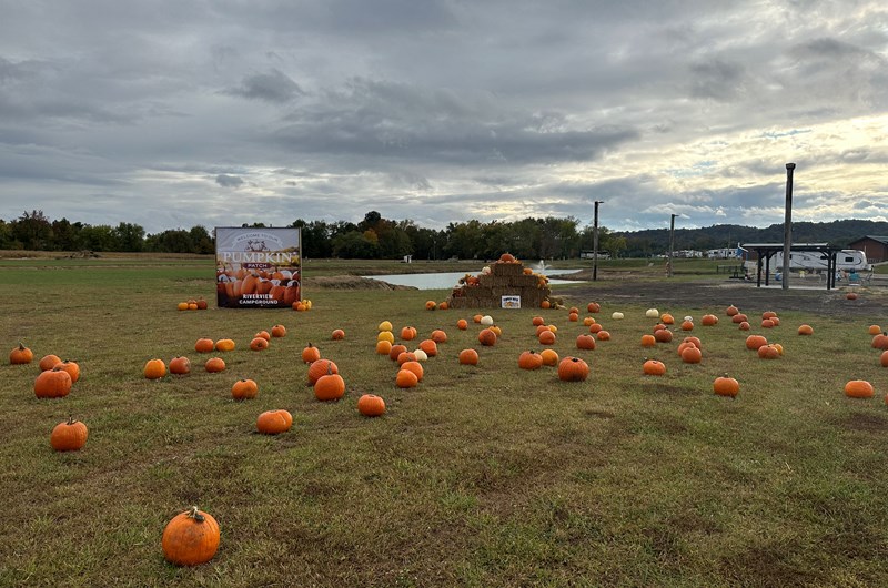 Welcome to our Pumpkin Patch: Event at the Franklin Furnace / Ohio ...