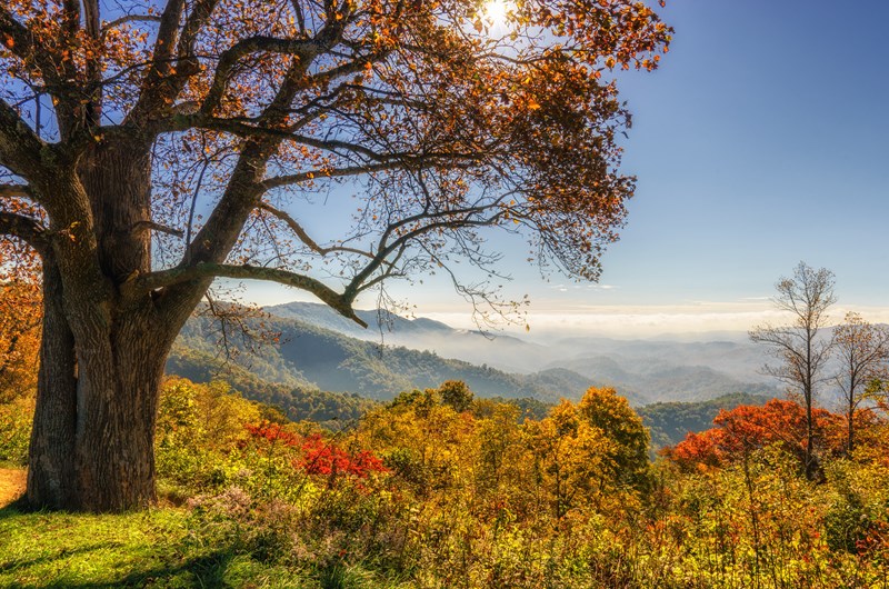 Autumn At Anakeesta: Event at the Gatlinburg East / Smoky Mountain KOA ...