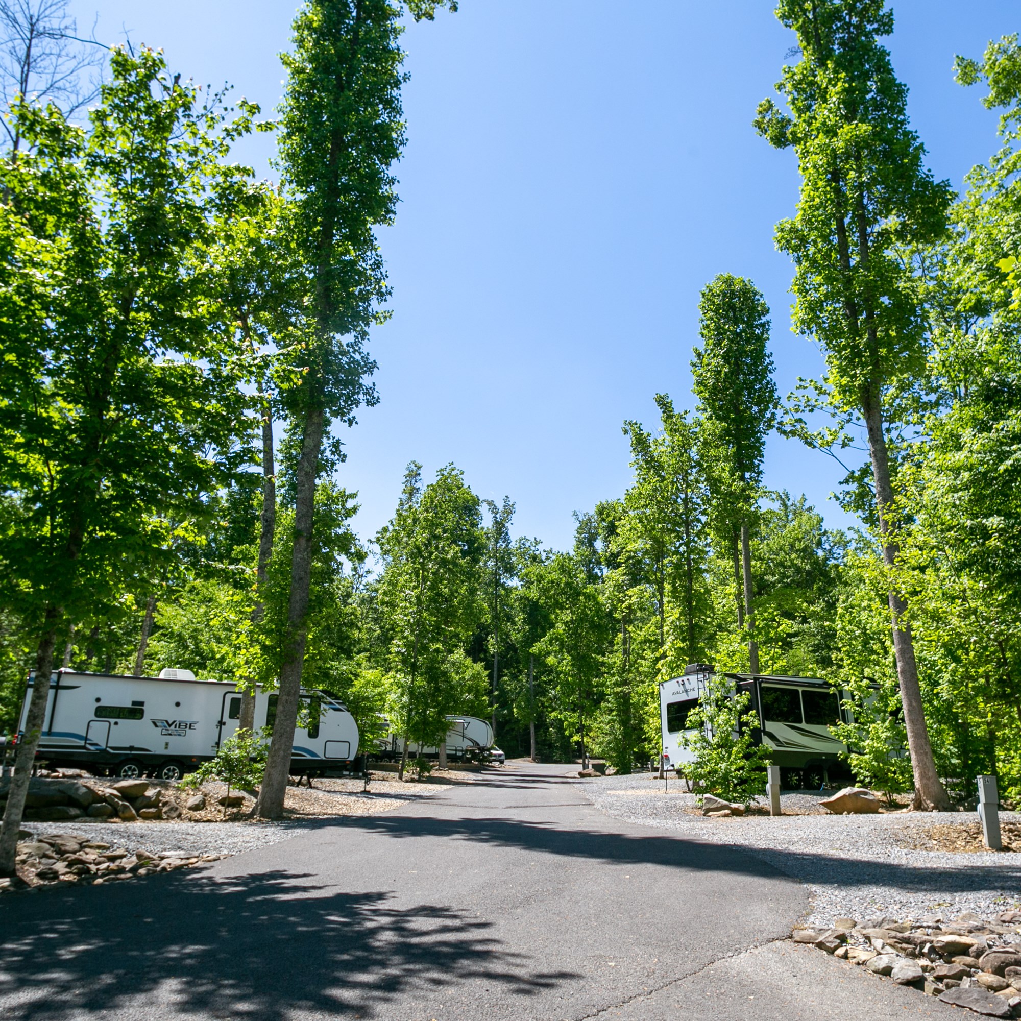 Cosby, Tennessee Campground Map | Gatlinburg East / Smoky Mountain KOA ...