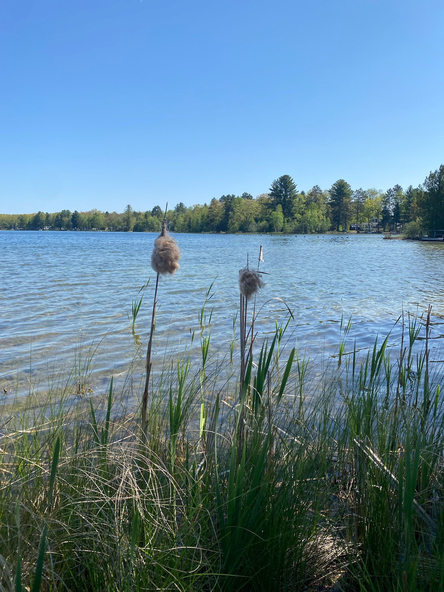 Frederic, Michigan Camping Amenities | Gaylord South / Bradford Lake ...