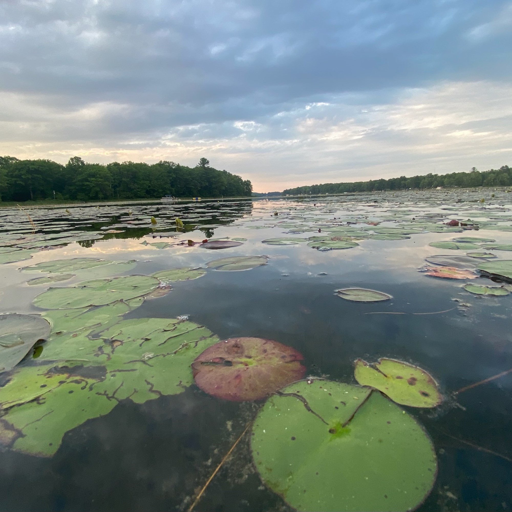 Frederic, Michigan Camping Deals | Gaylord South / Bradford Lake KOA ...