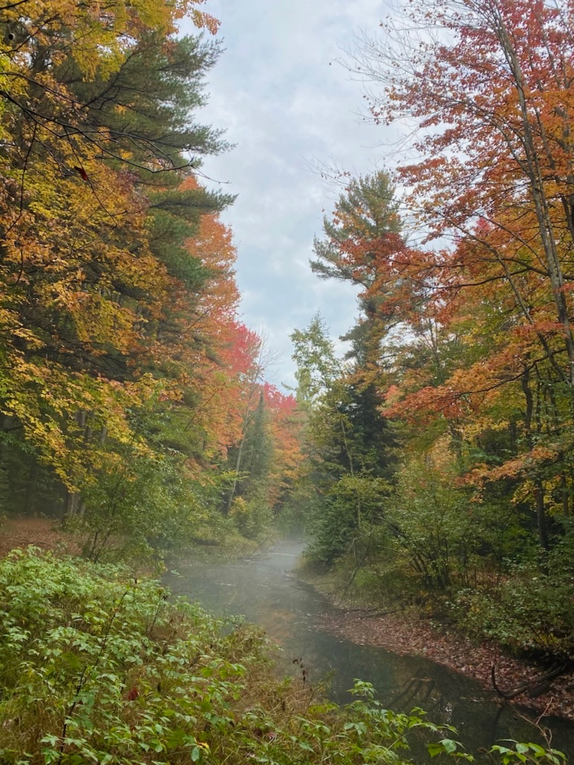 Fish ON! Fall Fishing and Hunting in Northern Michigan