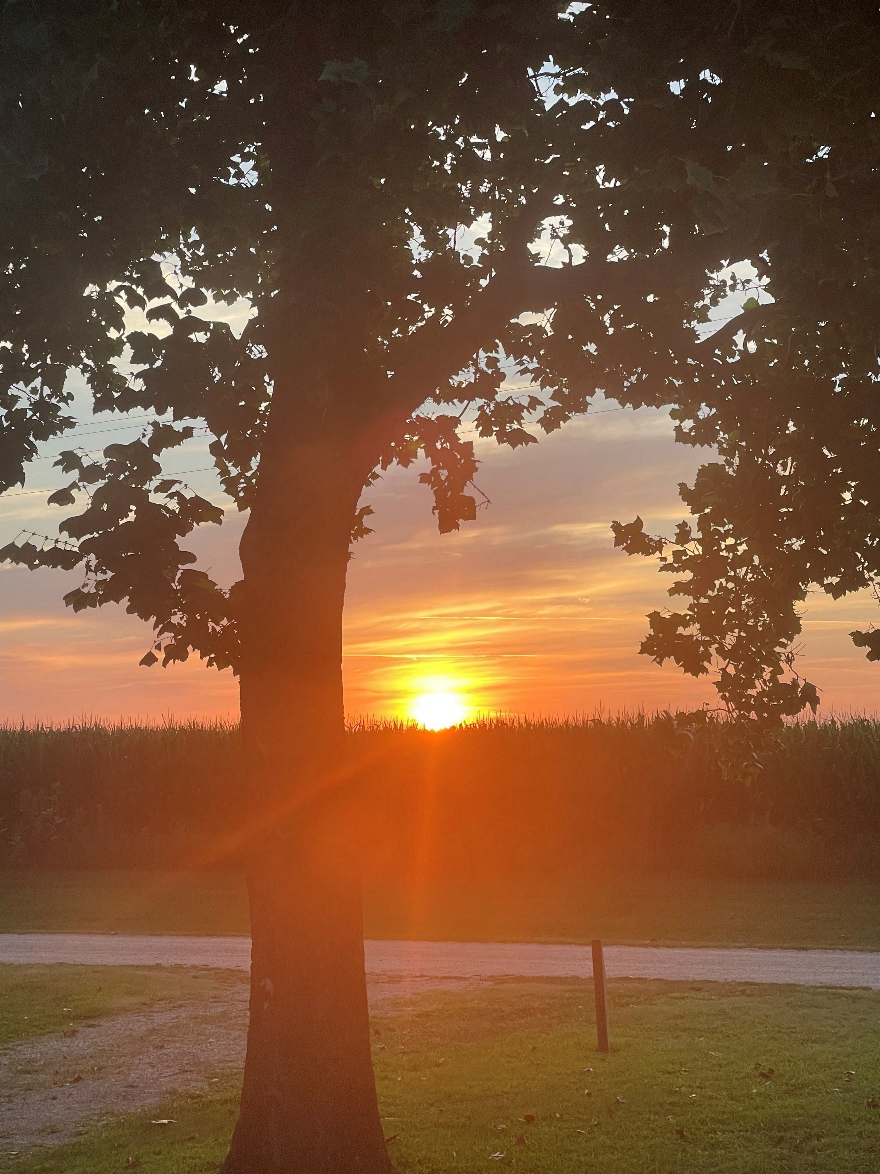 Doniphan, Nebraska Campground | Grand Island KOA Journey