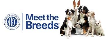 AKC Dog Show: Event at the Grand Island KOA Journey Campground in Nebraska