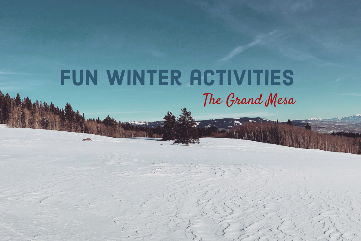 Winter Wonderland Getaway: Adventure at the Grand Mesa