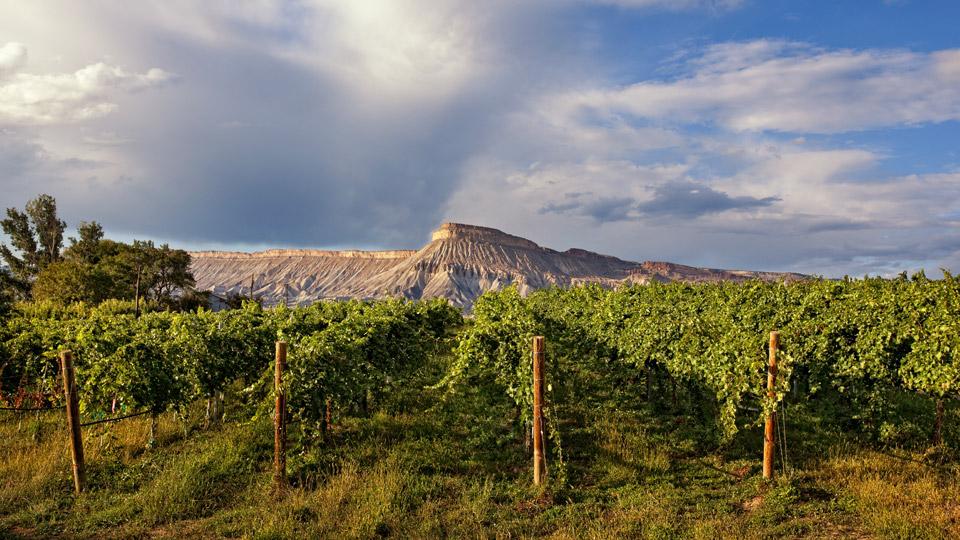 Grand Junction, Colorado Campground | Grand Junction KOA